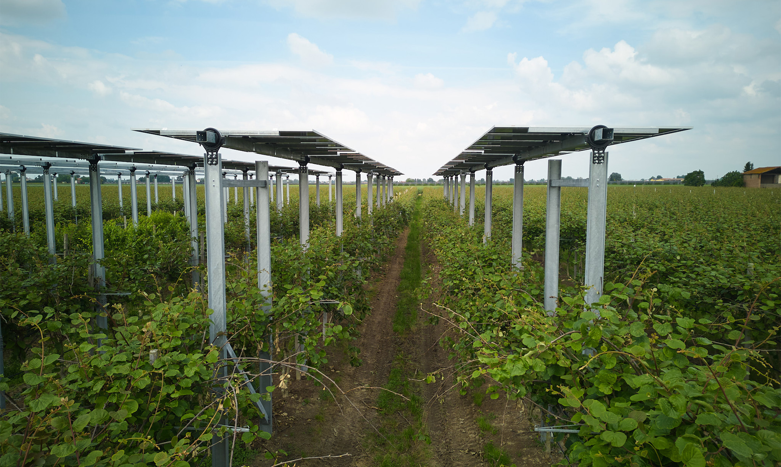 Advanced Agrivoltaics